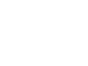 Forced Entry FEBR - WINDOW GARD - Highest EN1627 / DoS