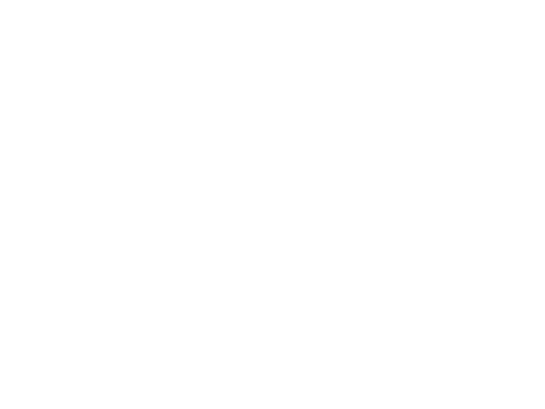 Forced Entry FEBR - WINDOW GARD - Highest EN1627 / DoS