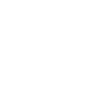 Forced Entry FEBR - WINDOW GARD - Highest EN1627 / DoS